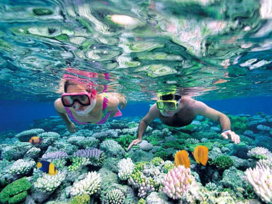 7 Best Places For Scuba Diving In Vietnam | Updated 2026