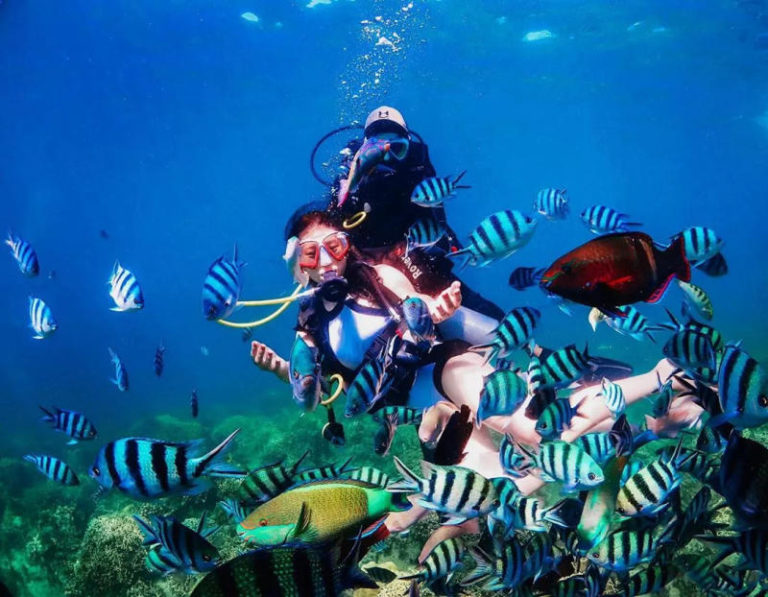 7 Best Places For Scuba Diving In Vietnam | Updated 2025