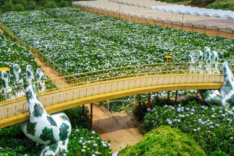 10 Best Things To Do In Dalat: A Traveler's Guide