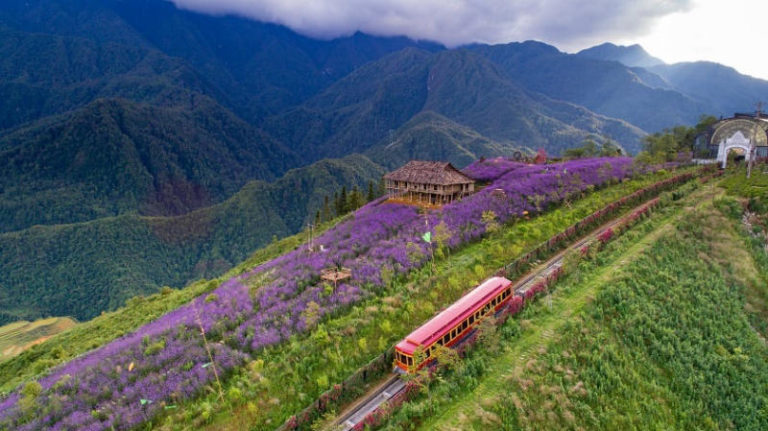 8 Best Things To Do In Muong Hoa Valley | Updated 2026