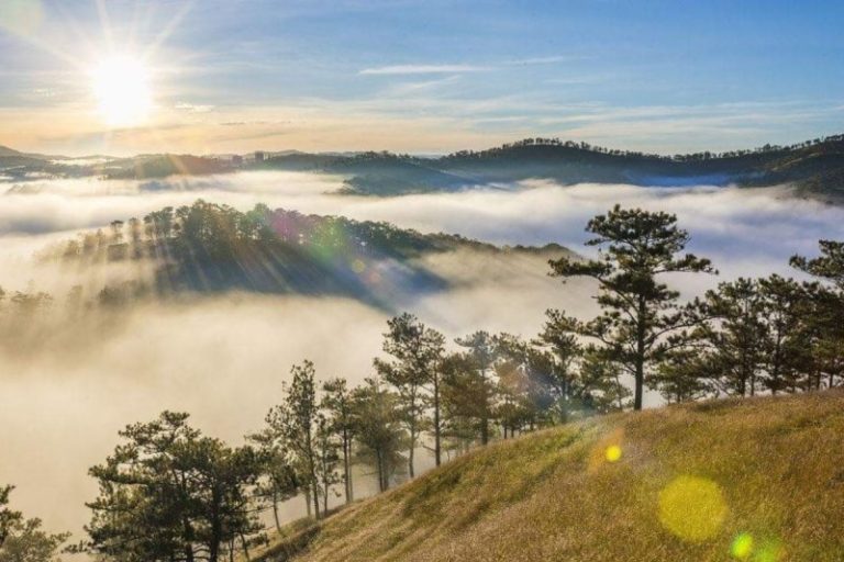 Da Lat: All Your Need To Know Before You Go From India