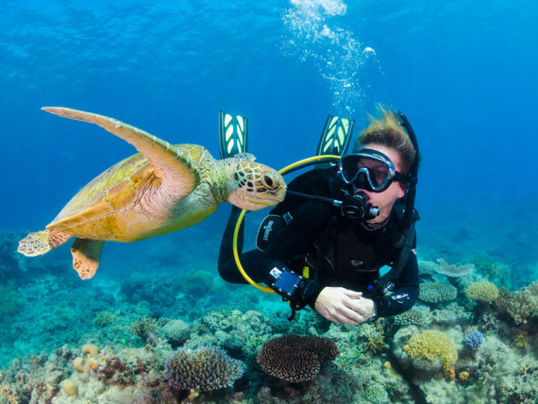 Hon Mun Island: Nha Trang’s Paradise Awaits You In 2026