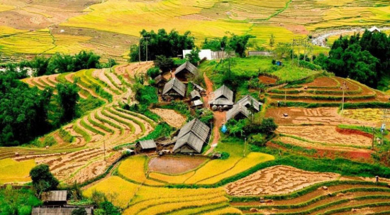 8 Best Things To Do In Muong Hoa Valley | Updated 2026
